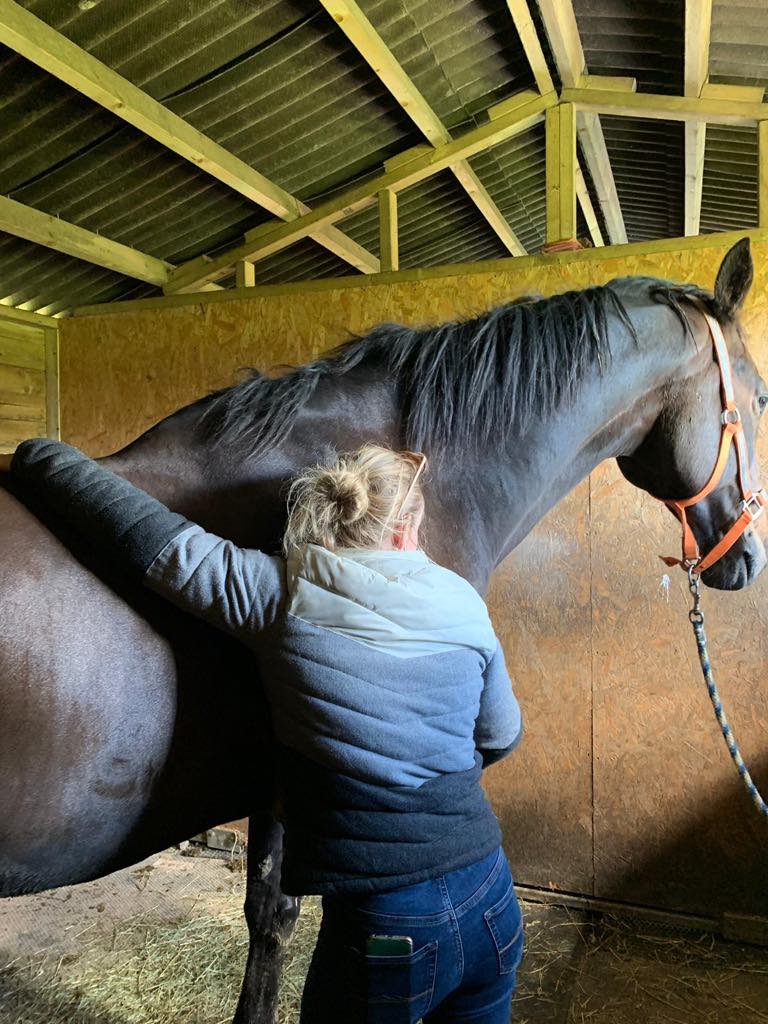 OSTEOPATHY – Human Horse and Hound Osteopathy
